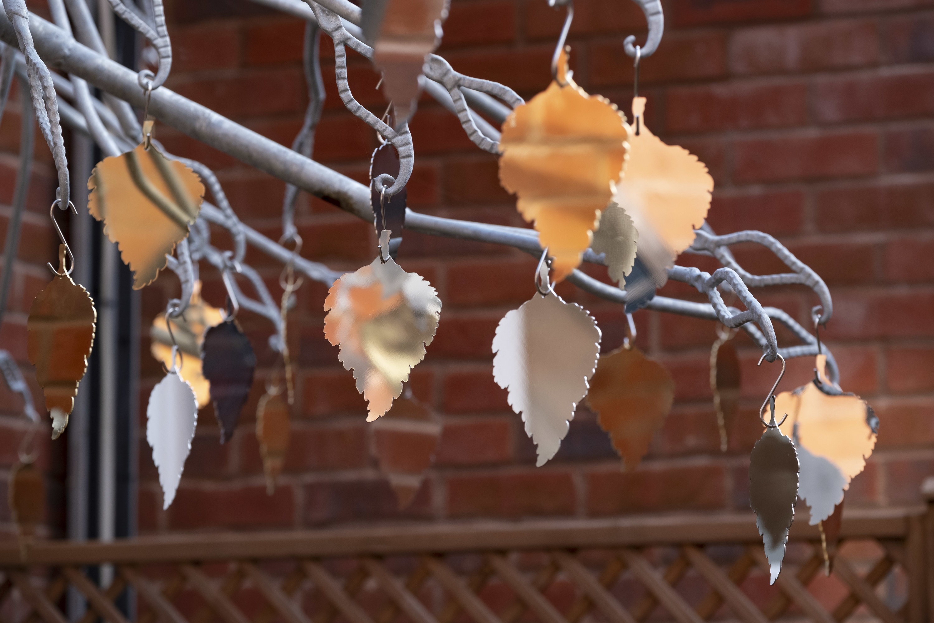 Memory Tree - Primrose Hospice