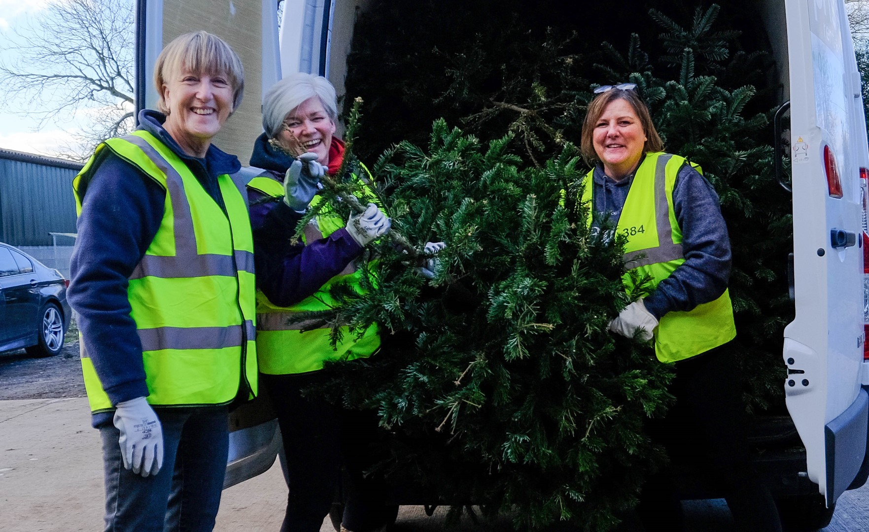 Primrose Hospice's Treecycle Triumph - Primrose Hospice